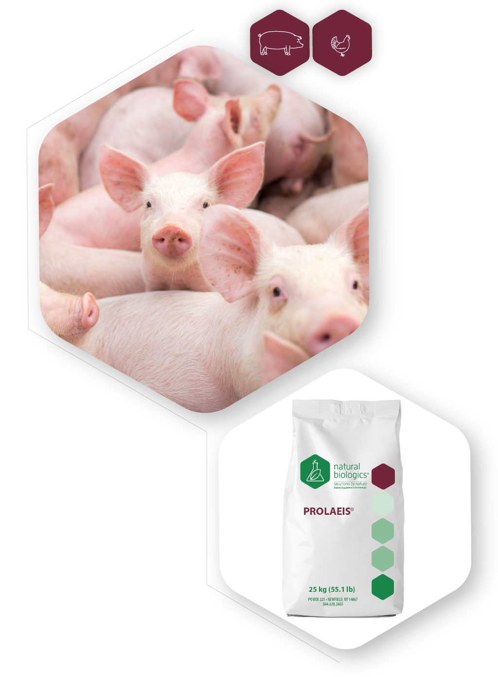 Proglena® - Natural Biologics